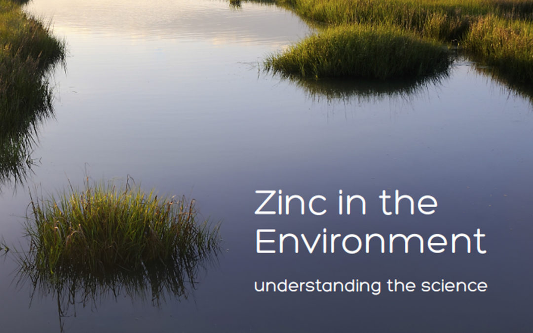 Publications | ZINC. International Zinc Association