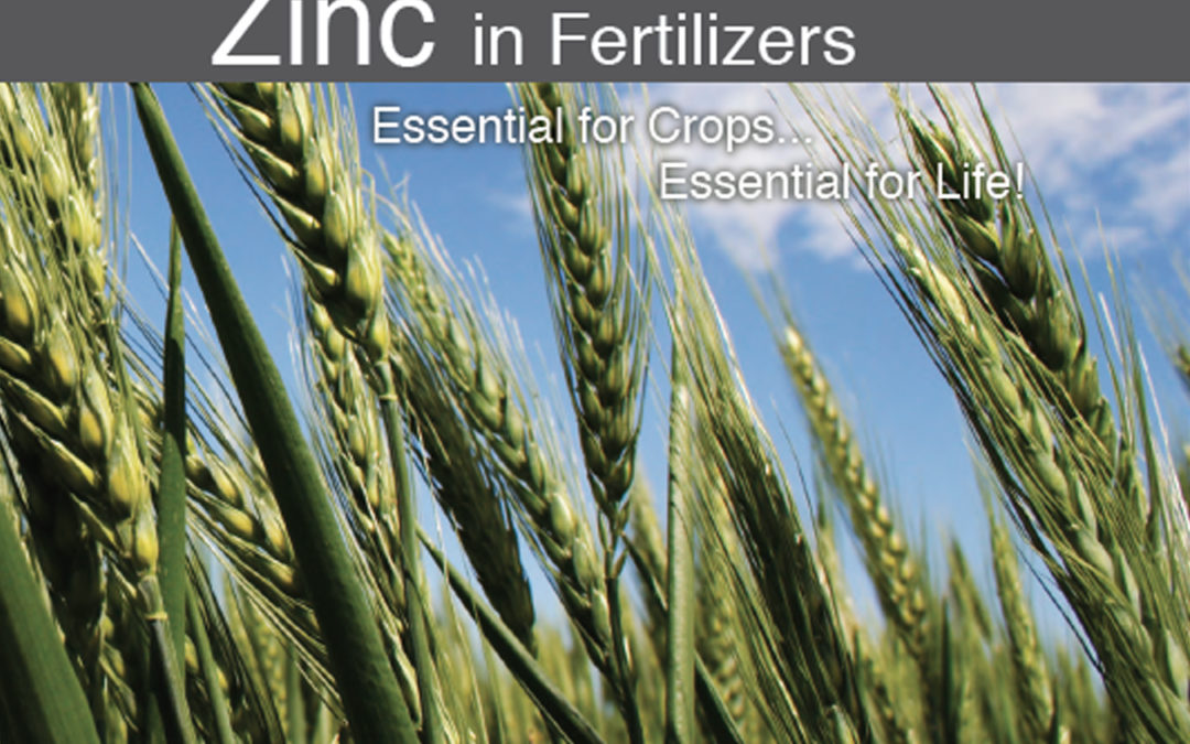 Crop Nutrition Archives | ZINC. International Zinc Association