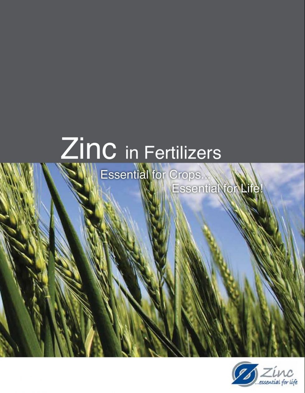 Publications | ZINC. International Zinc Association