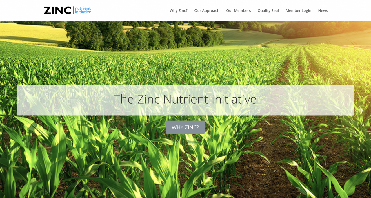 International Zinc Association explains food security.