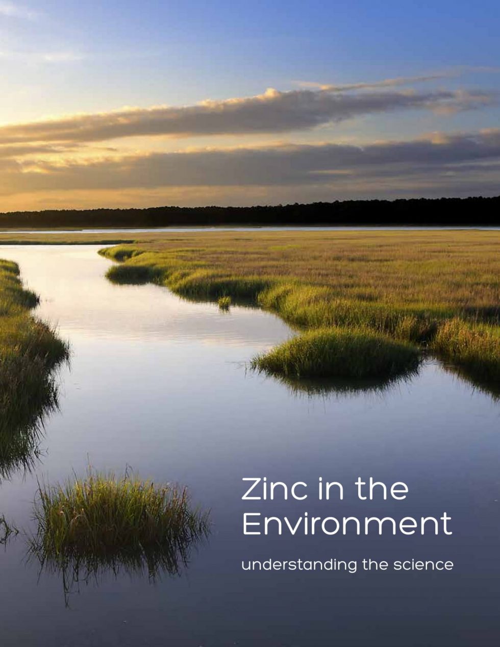 Publications | ZINC. International Zinc Association